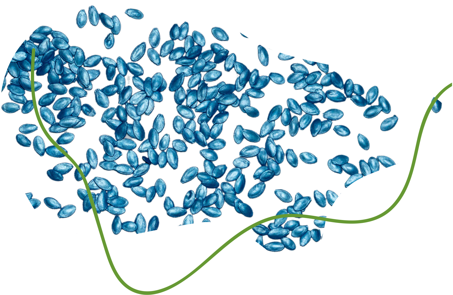 Film Coating - Brazil Seed Tech